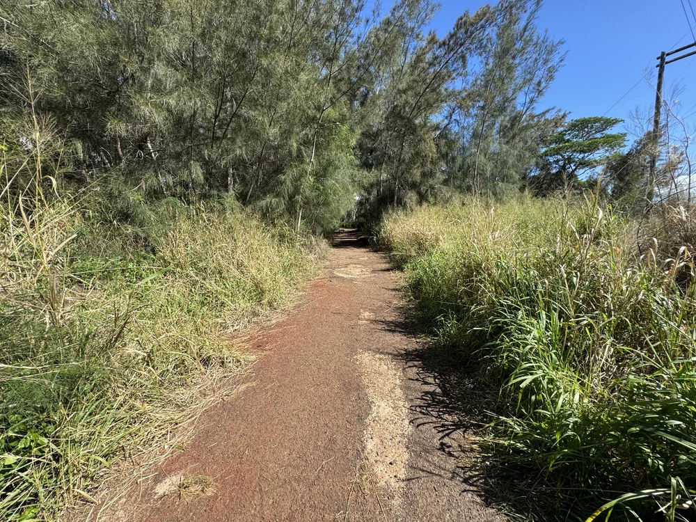 Hiking the Mānana Ridge Trail on Oʻahu, Hawaiʻi — noahawaii