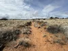 Hiking the Murphy Point Trail in Canyonlands National Park — noahawaii