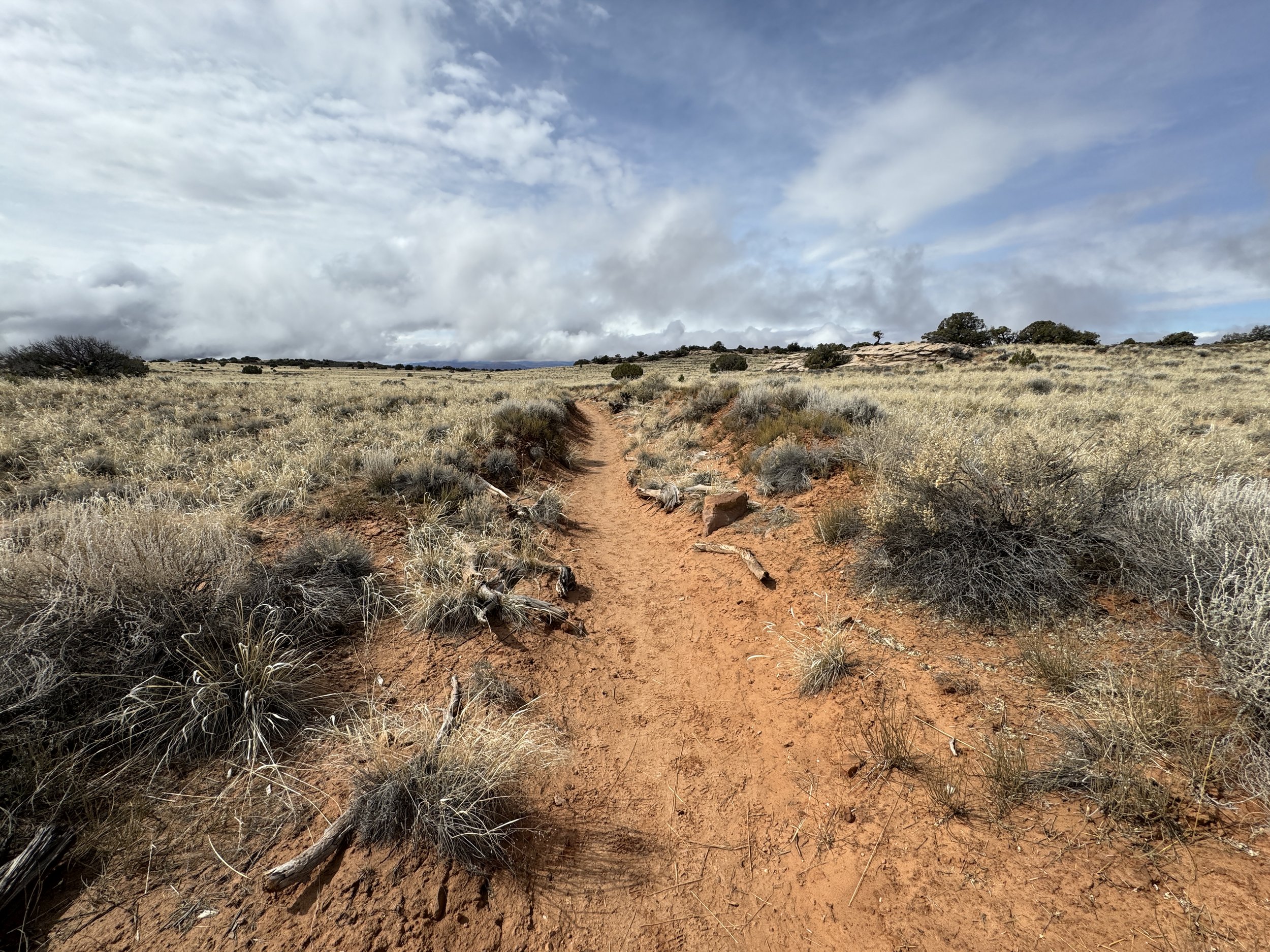 Hiking the Murphy Point Trail in Canyonlands National Park — noahawaii