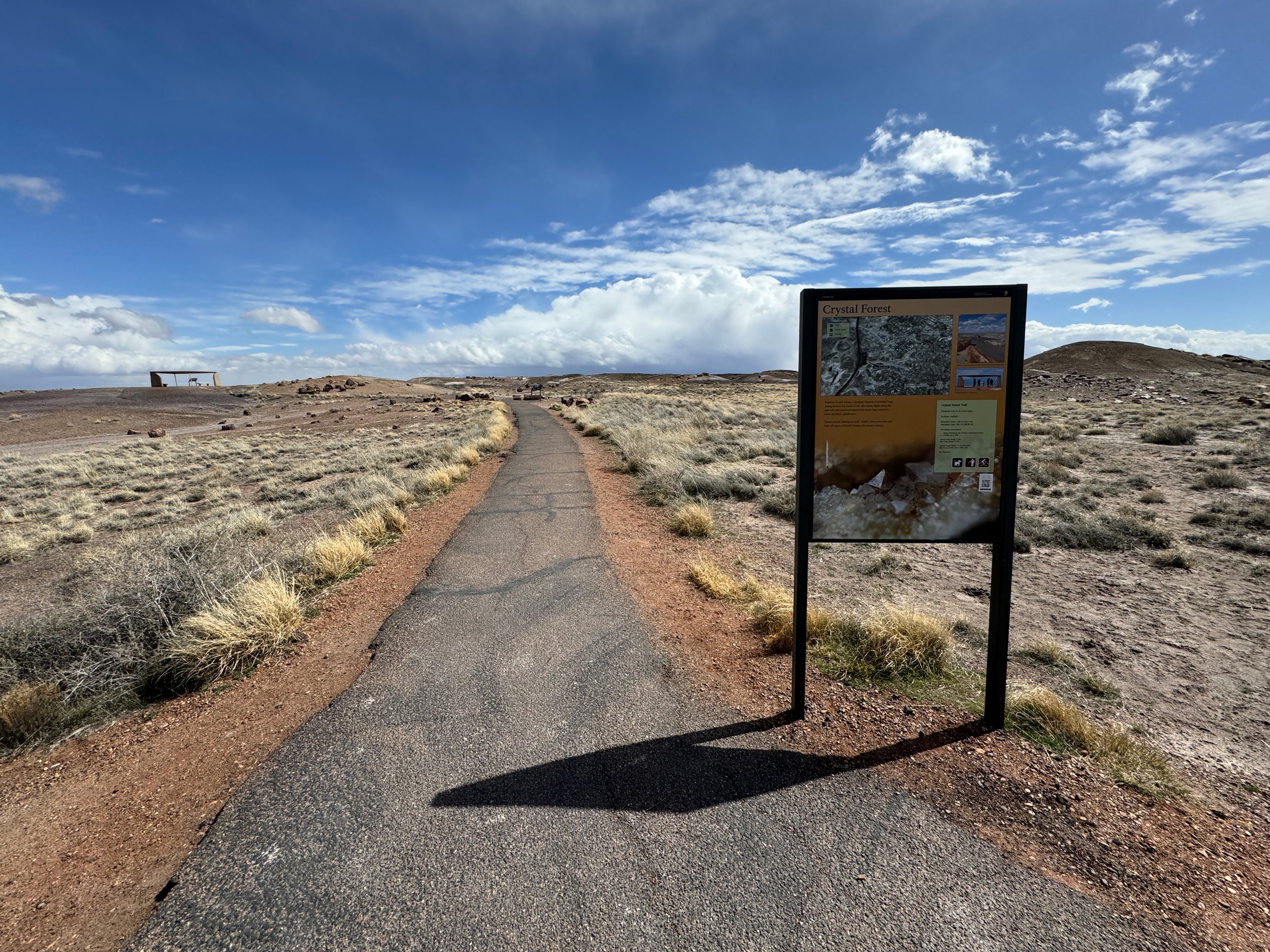 Hiking the Crystal Forest Trail in Petrified Forest National Park ...