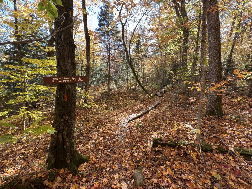 Hiking the Little Moose Pond Loop Trail in Greenville, Maine — noahawaii