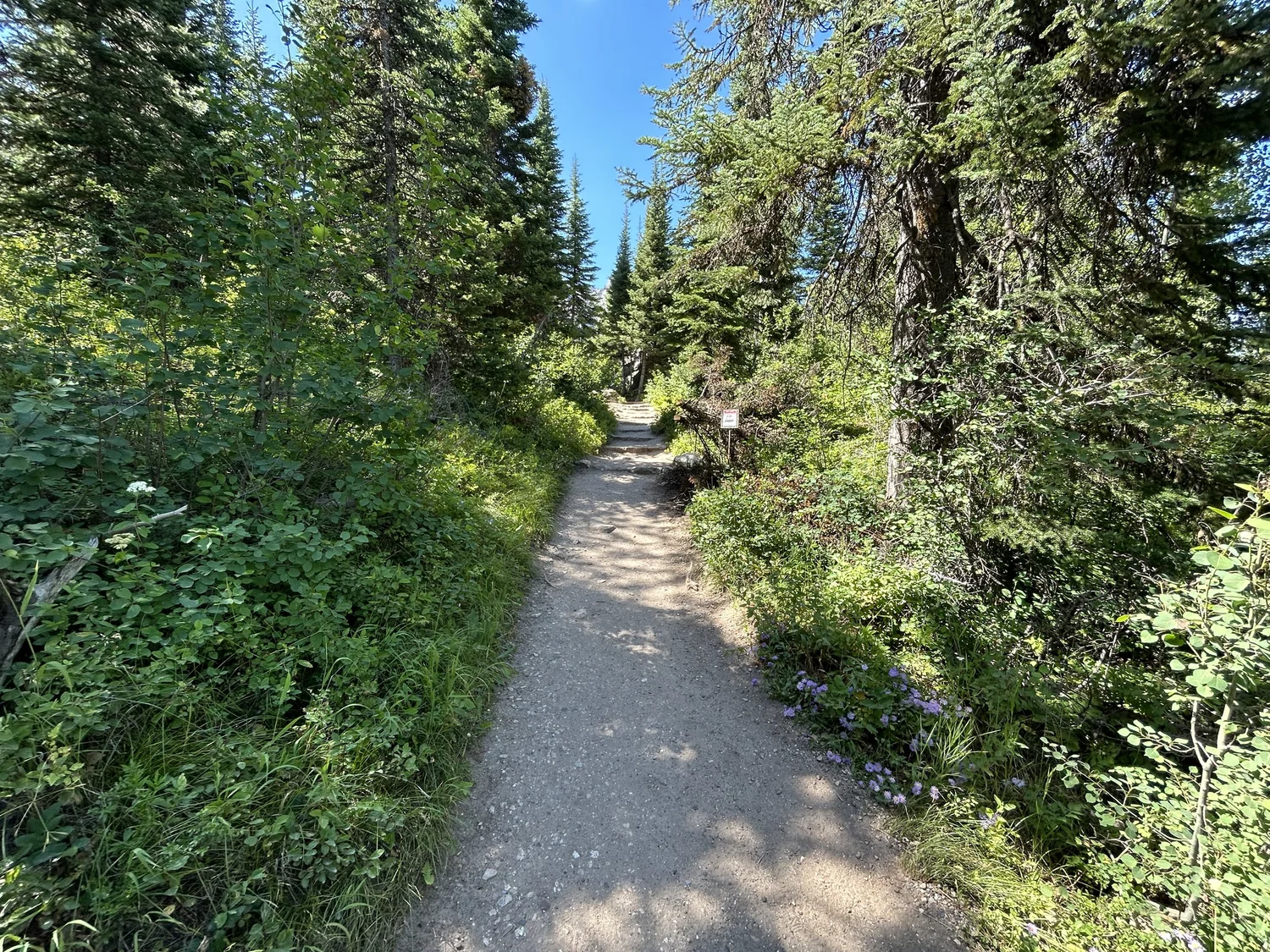 Hiking the Hidden Falls Trail via Jenny Lake in Grand Teton National ...
