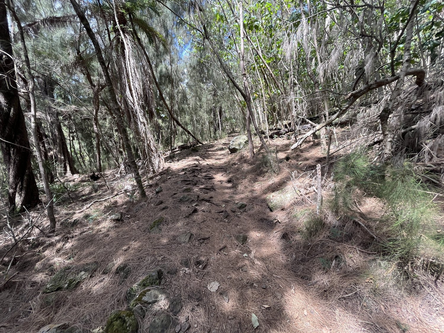 Hiking the Hauʻula Loop Trail on the North Shore of Oʻahu, Hawaiʻi ...