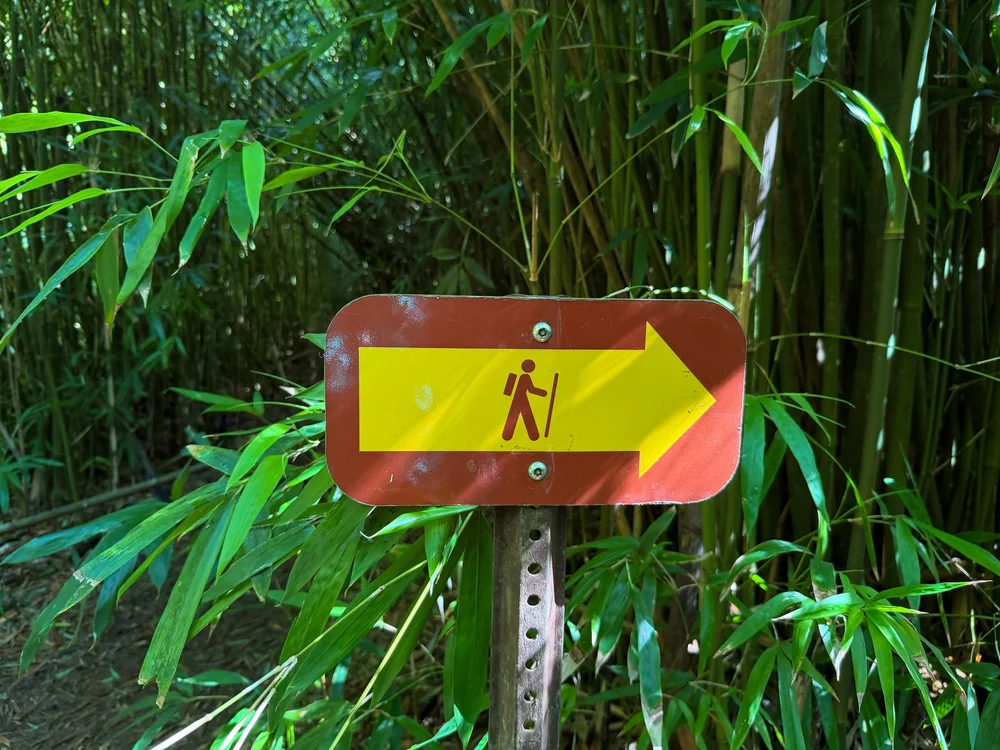 Hiking the Judd Trail & Jackass Ginger Pool on Oʻahu, Hawaiʻi — noahawaii
