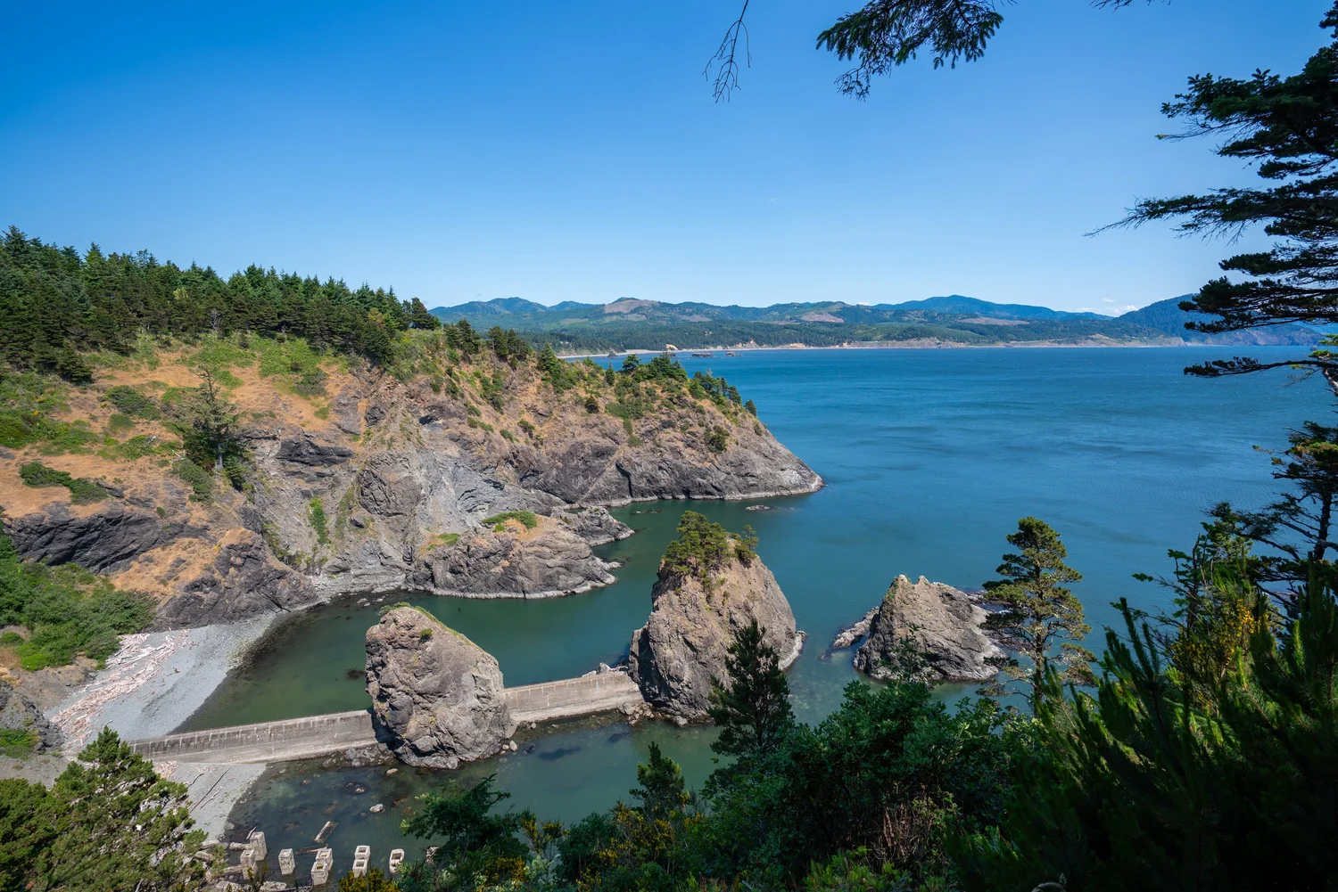 Hiking the Port Orford Heads Trail on the Oregon Coast — noahawaii