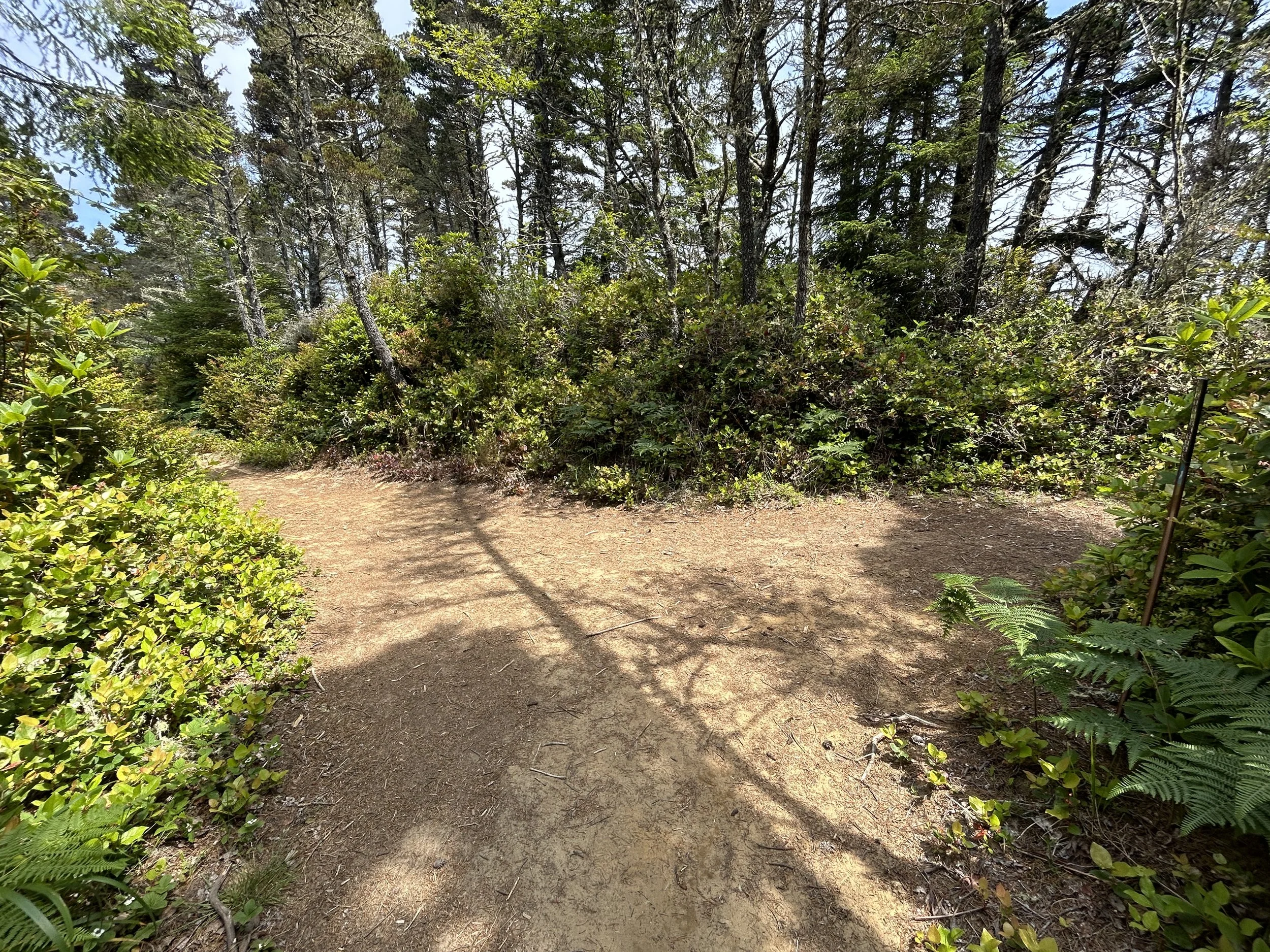Hiking the Blacklock Point Sea Cliffs Trail on the Oregon Coast — noahawaii