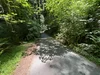 Hiking the Stout Memorial Grove Trail in Jedediah Smith Redwoods State ...