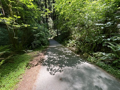 Hiking the Stout Memorial Grove Trail in Jedediah Smith Redwoods State ...