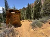 Hiking the Swamp Canyon Loop Trail in Bryce Canyon National Park ...