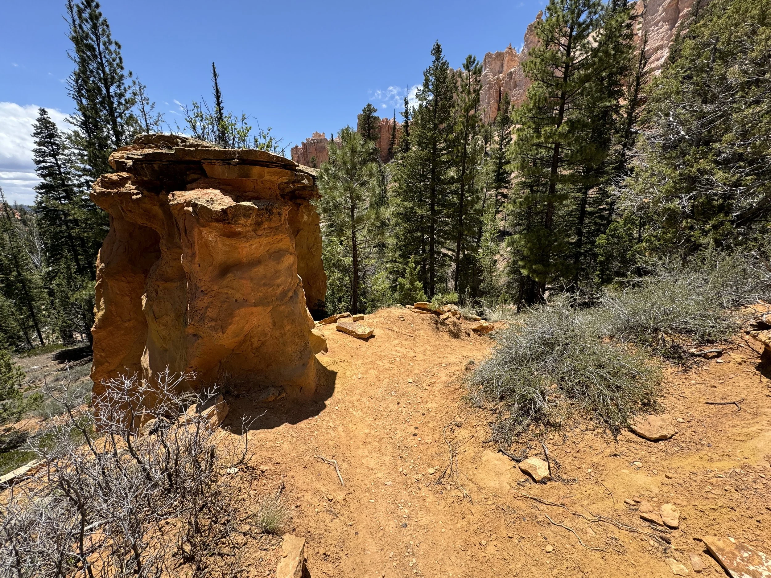 Hiking the Swamp Canyon Loop Trail in Bryce Canyon National Park ...