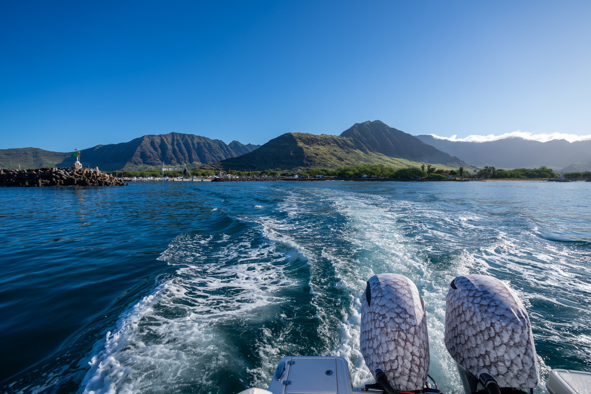 What is the Best Dolphin & Turtle Swimming Tour on Oʻahu, Hawaiʻi ...