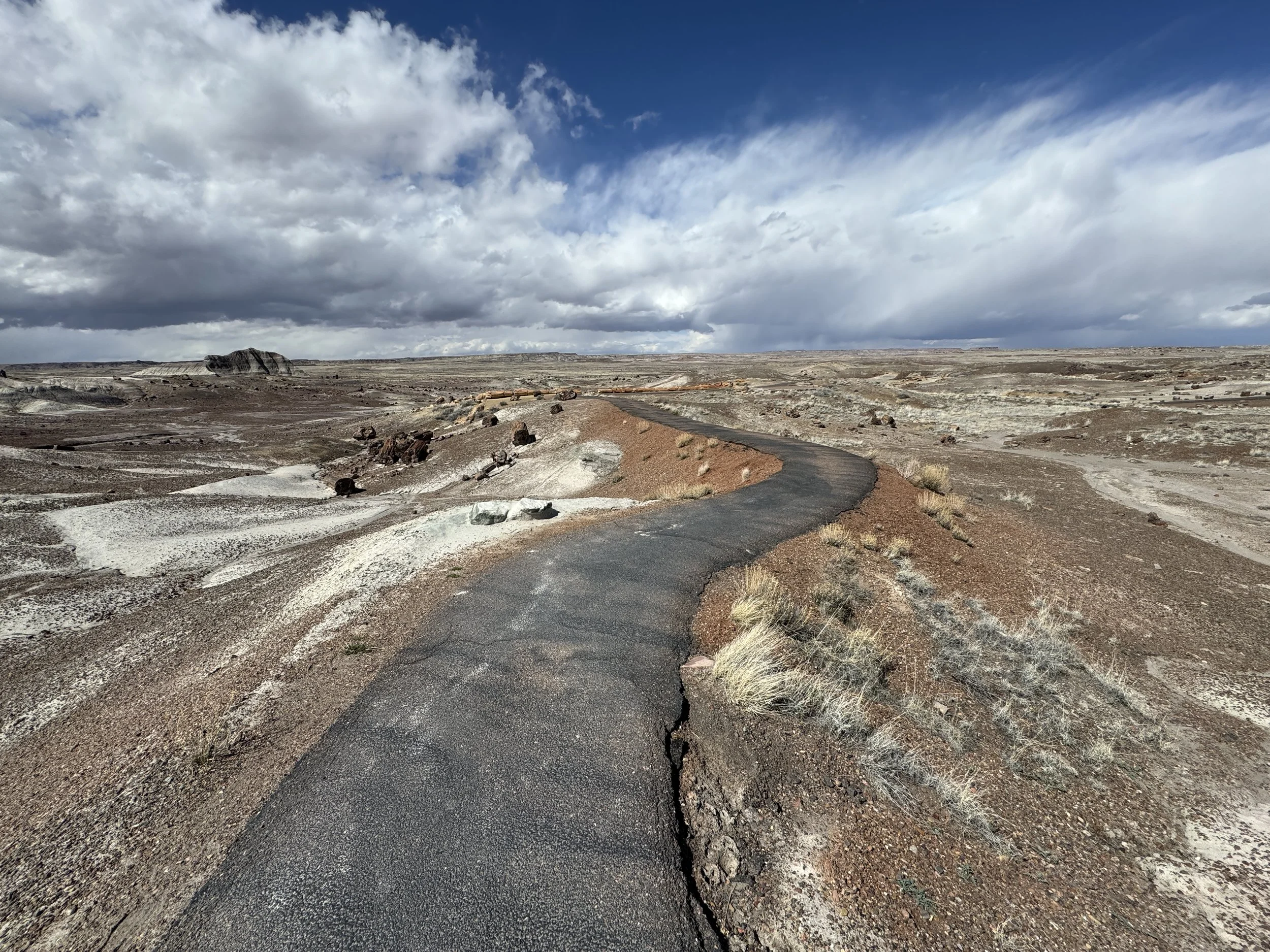 Hiking the Crystal Forest Trail in Petrified Forest National Park ...