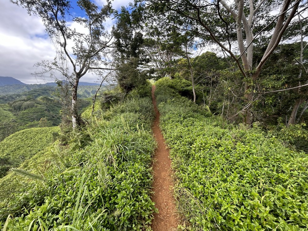 Hiking the Kuilau Ridge Trail on Kauaʻi, Hawaiʻi — noahawaii