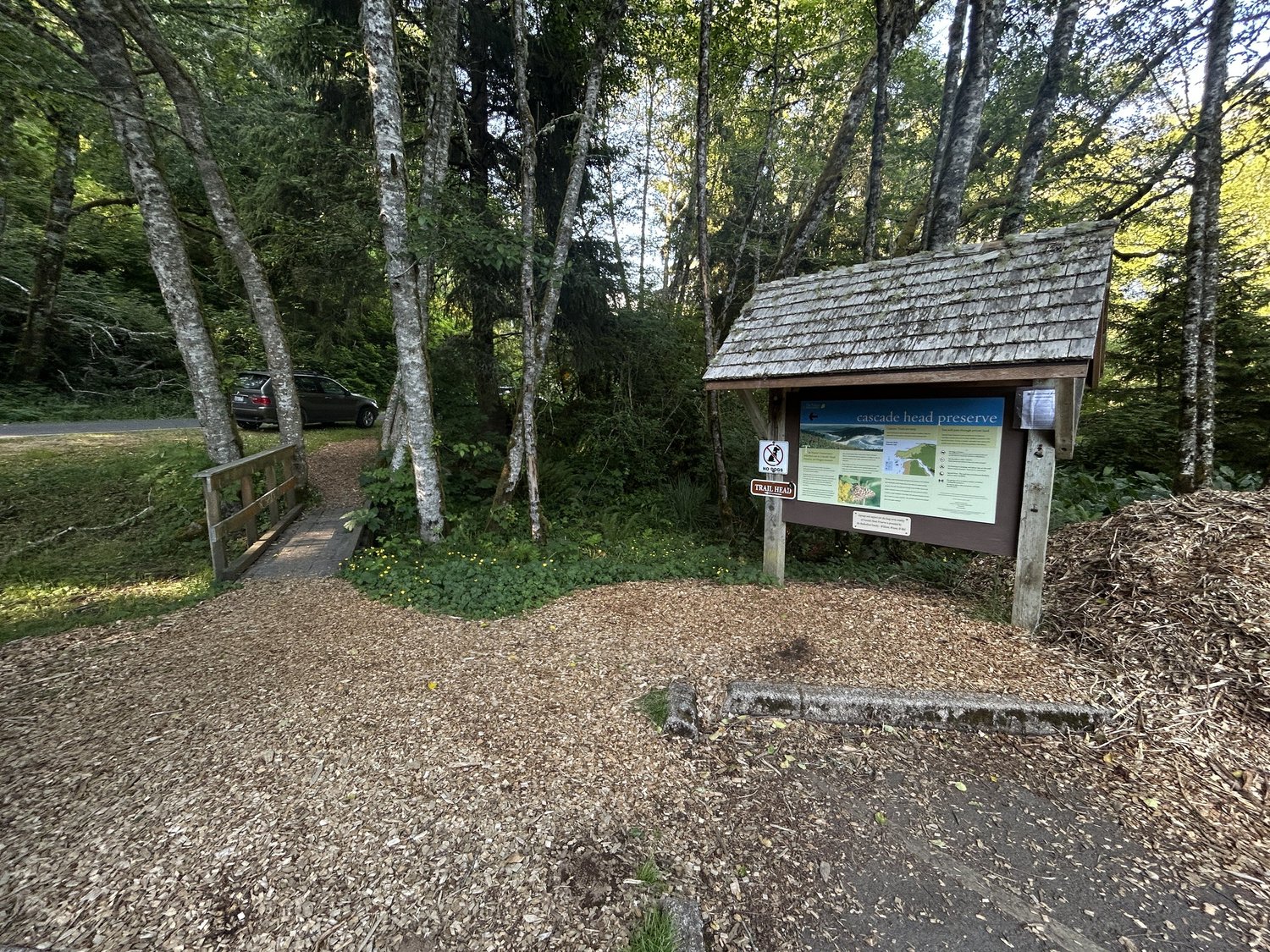Hiking the Lower Cascade Head Trail on the Oregon Coast — noahawaii