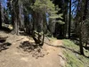 Hiking the Big Stump Loop Trail in Kings Canyon National Park — noahawaii