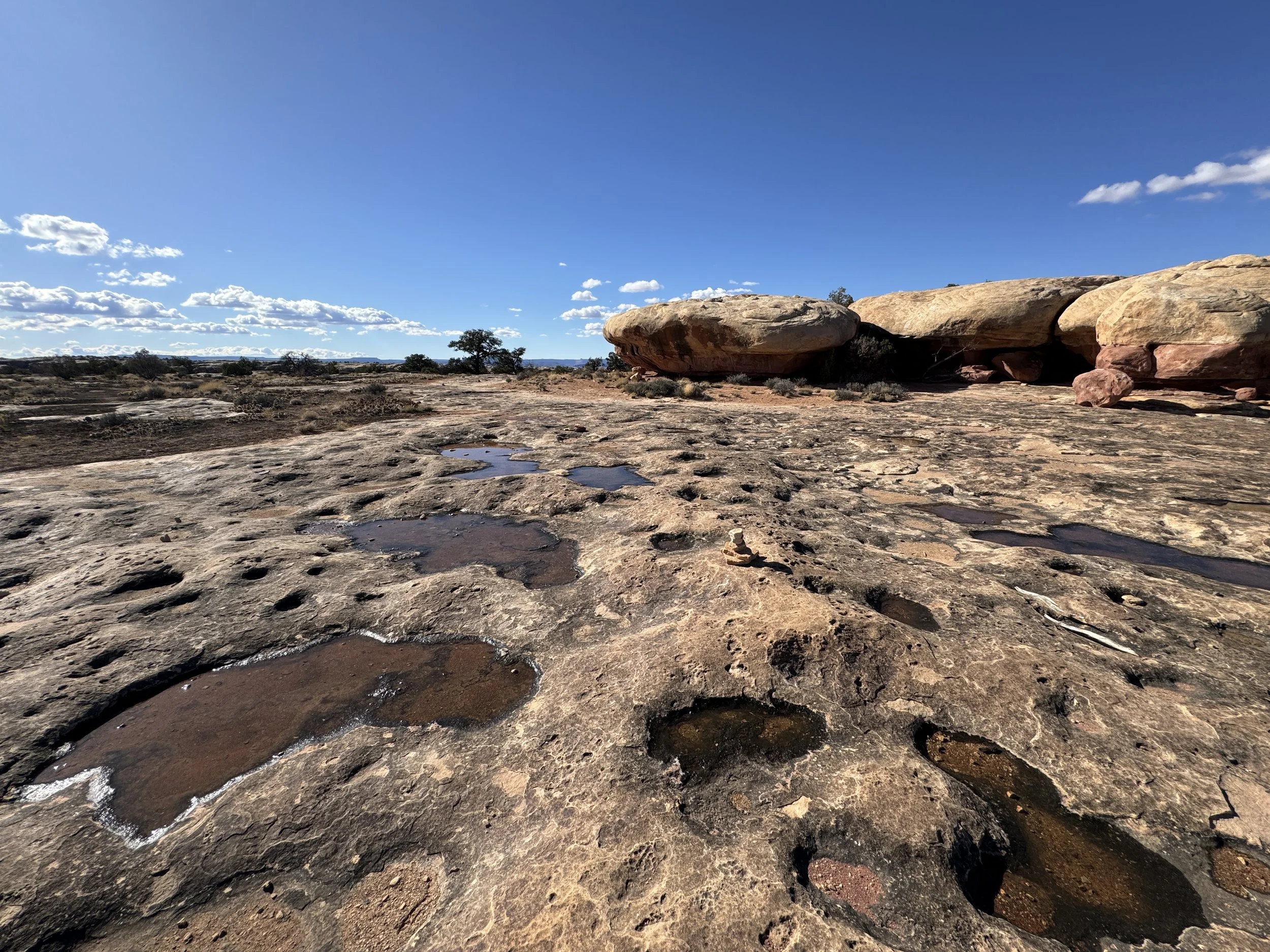 Hiking the Pothole Point Trail in Canyonlands National Park — noahawaii