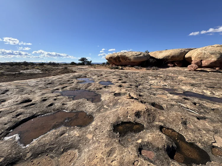 Hiking the Pothole Point Trail in Canyonlands National Park — noahawaii