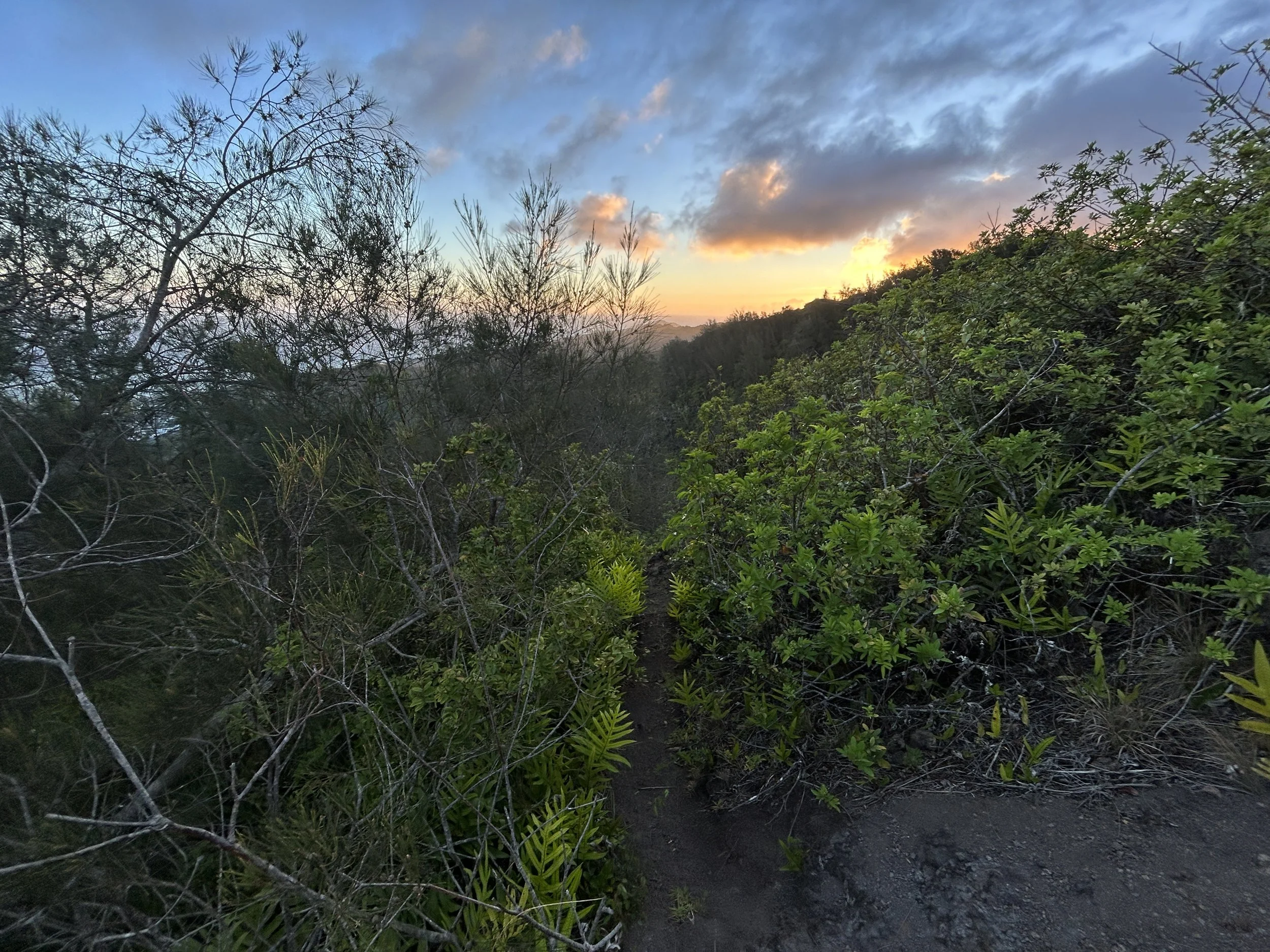 Hiking the Pyramid Rock Loop Trail on Oʻahu — noahawaii