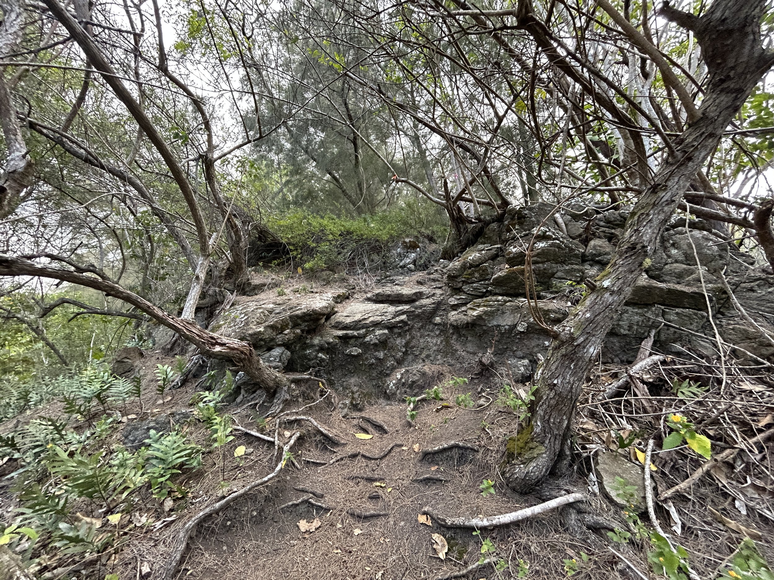 Hiking the Pyramid Rock Loop Trail on Oʻahu — noahawaii
