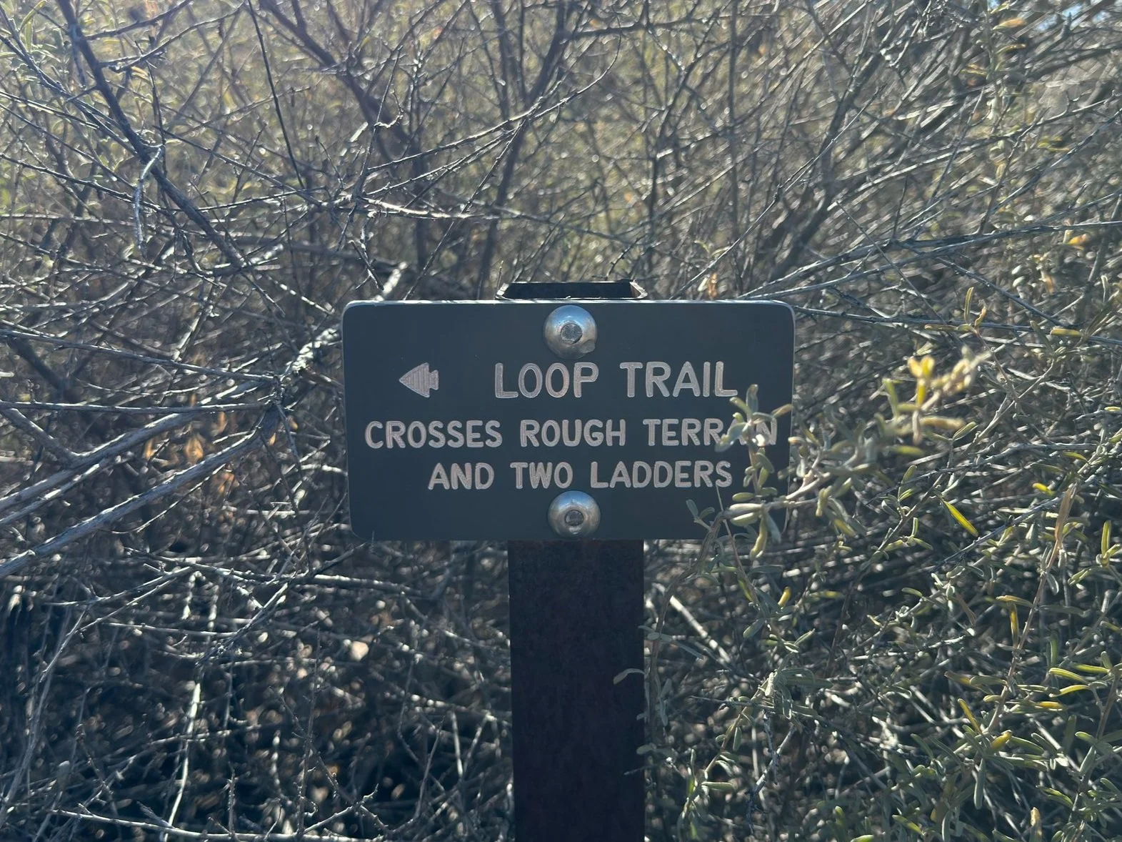 Hiking the Cave Spring Trail in Canyonlands National Park — noahawaii