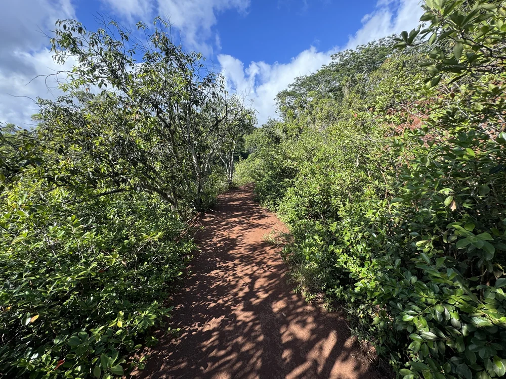 Hiking the Waimano Ridge Trail on Oʻahu, Hawaiʻi — noahawaii