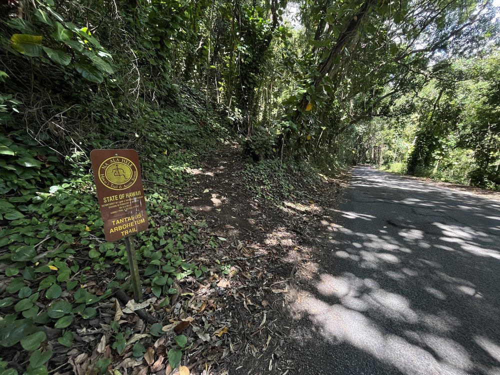 Hiking the Tantalus Arboretum Trail on Oʻahu, Hawaiʻi — noahawaii