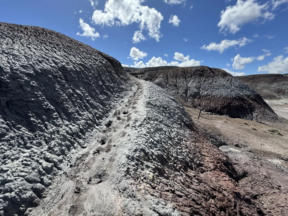 Hiking the Historic Blue Forest Trail in Petrified Forest National Park ...
