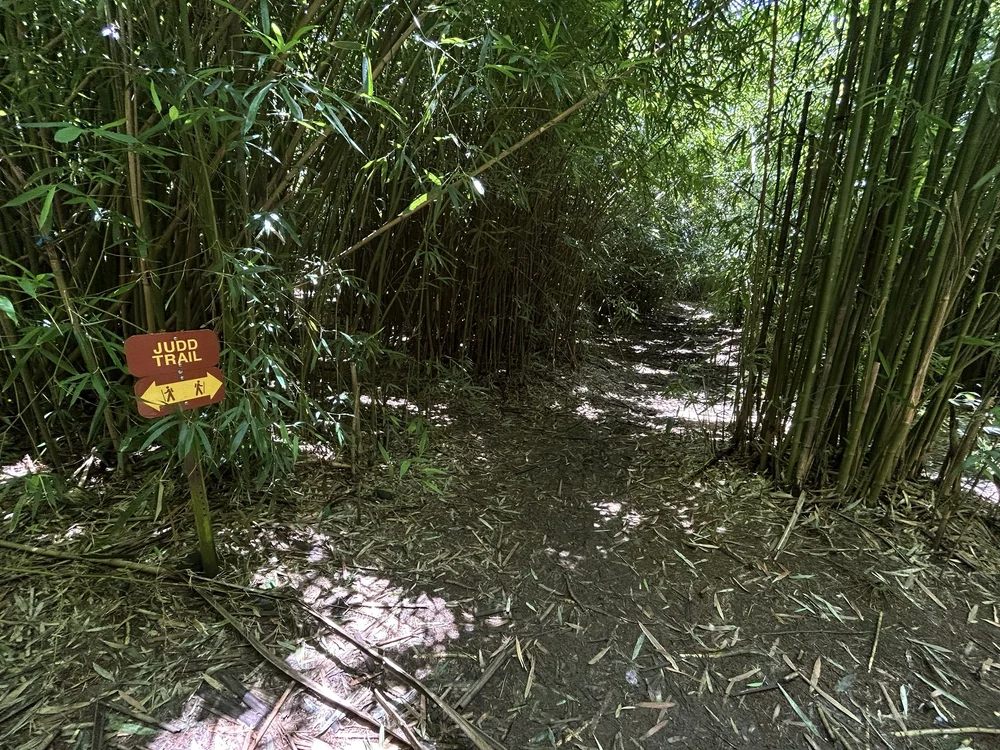 Hiking the Judd Trail & Jackass Ginger Pool on Oʻahu, Hawaiʻi — noahawaii