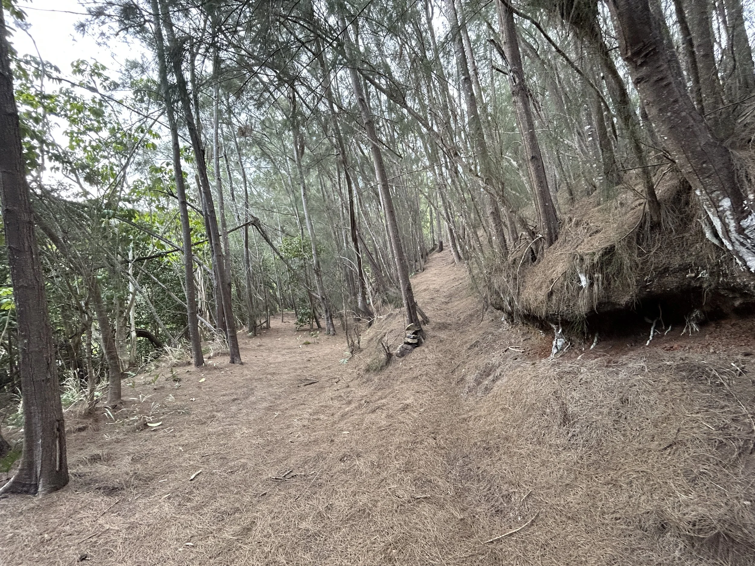 Hiking the Pyramid Rock Loop Trail on Oʻahu — noahawaii