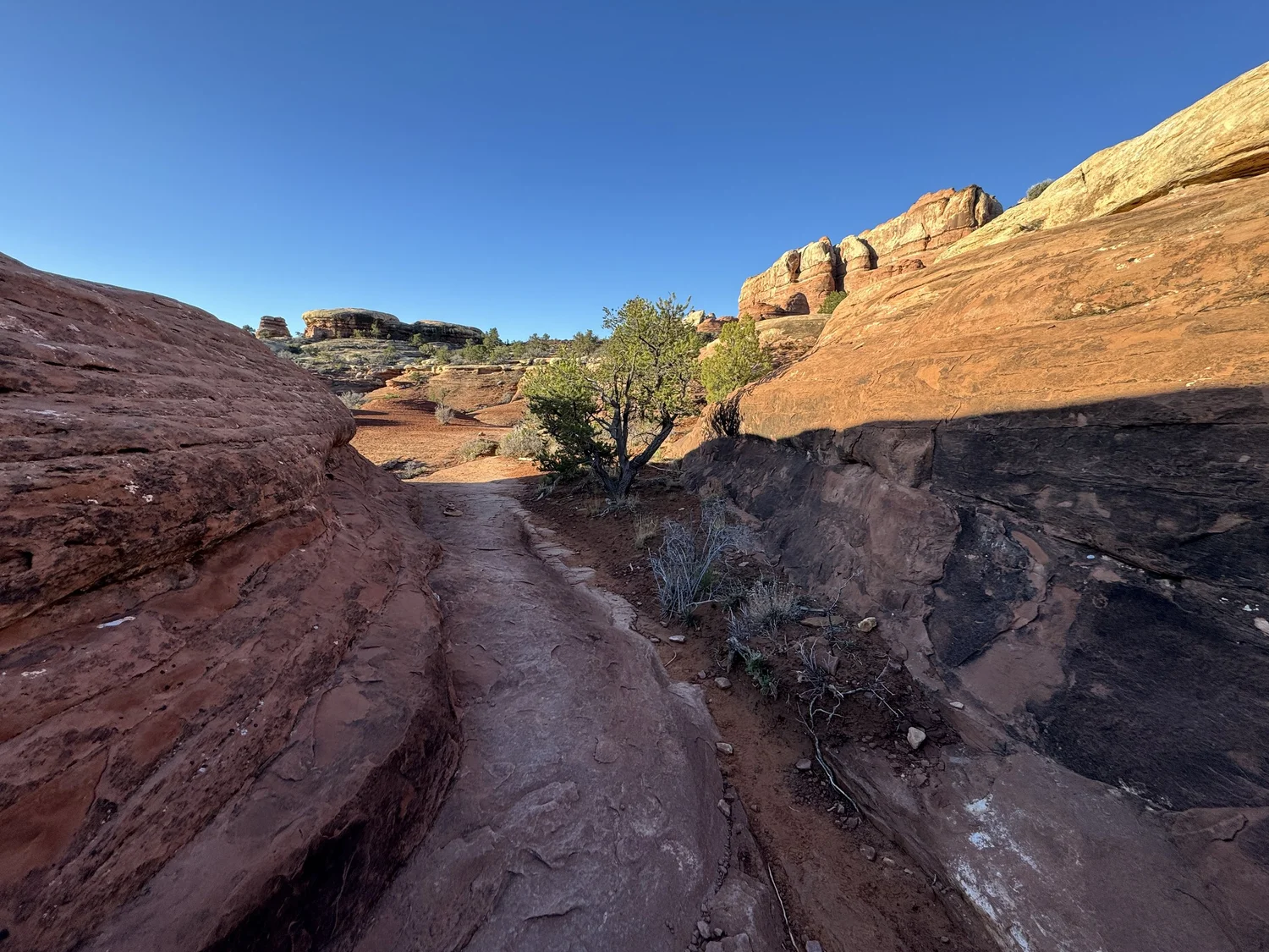 Hiking the Chesler Park Loop Trail in Canyonlands National Park — noahawaii