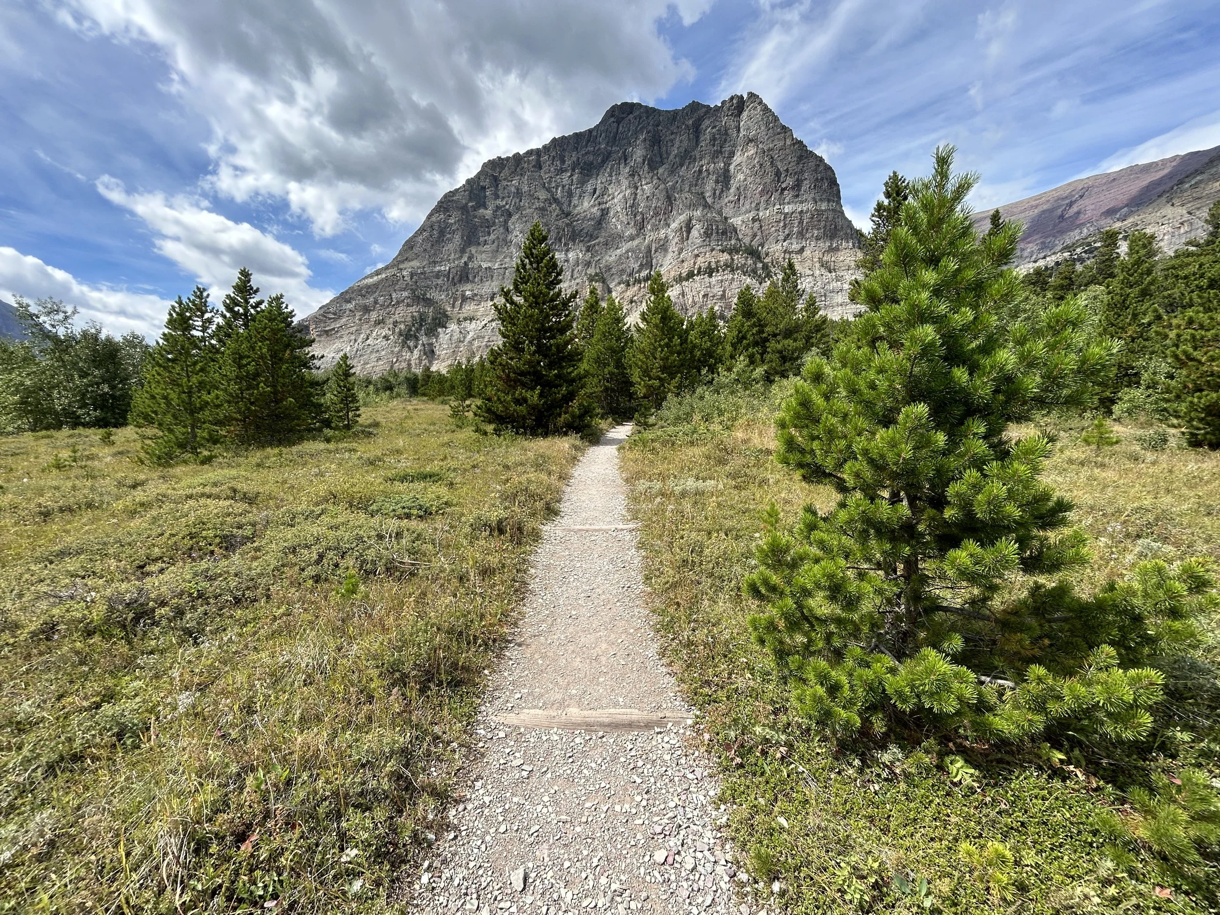 Hiking the Apikuni Falls Trail in Glacier National Park — noahawaii