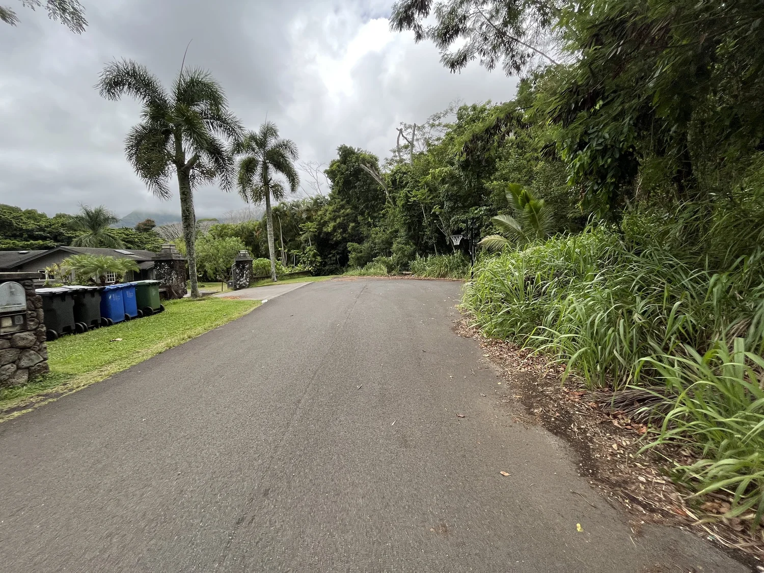 Hiking the Pride Rock Trail: Southeast Ridge of Puʻu ʻŌhulehule on ...