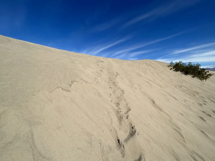 Hiking the Mesquite Flat Sand Dunes Trail (The High Dune) in Death ...