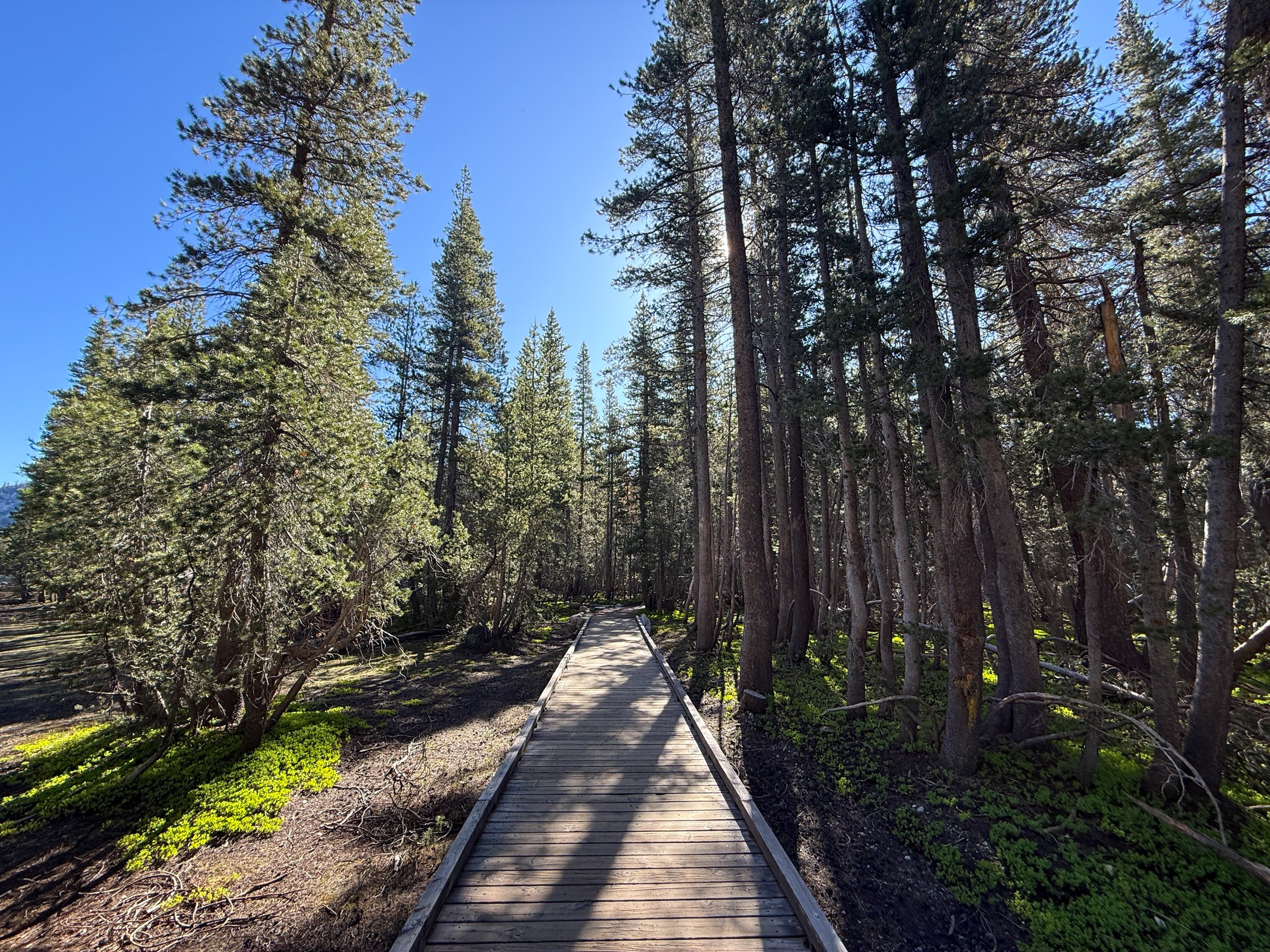 Hiking the Clouds Rest Trail in Yosemite National Park — noahawaii