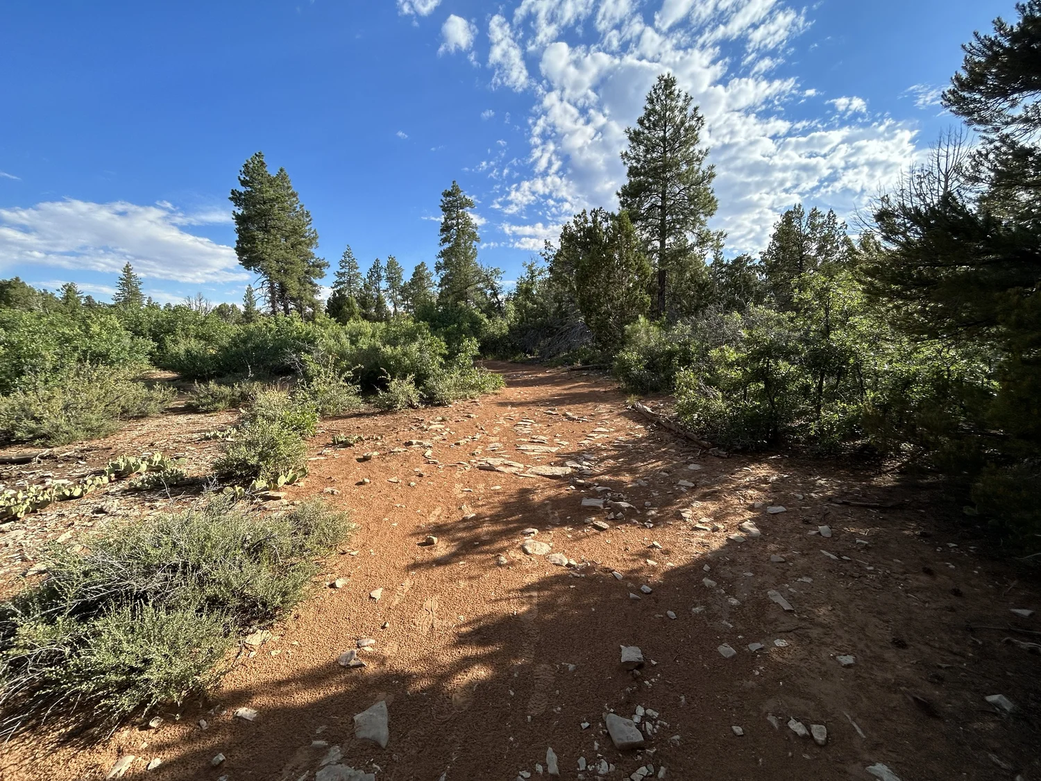 Hiking the East Mesa Trail to Observation Point in Zion National Park ...