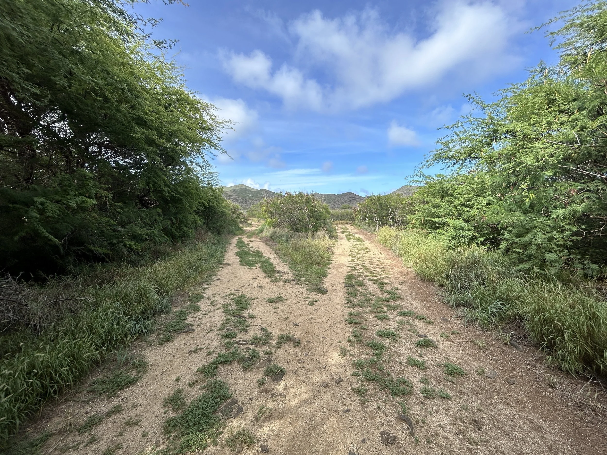 Hiking the Kaiwi Shoreline Trail on Oʻahu — noahawaii