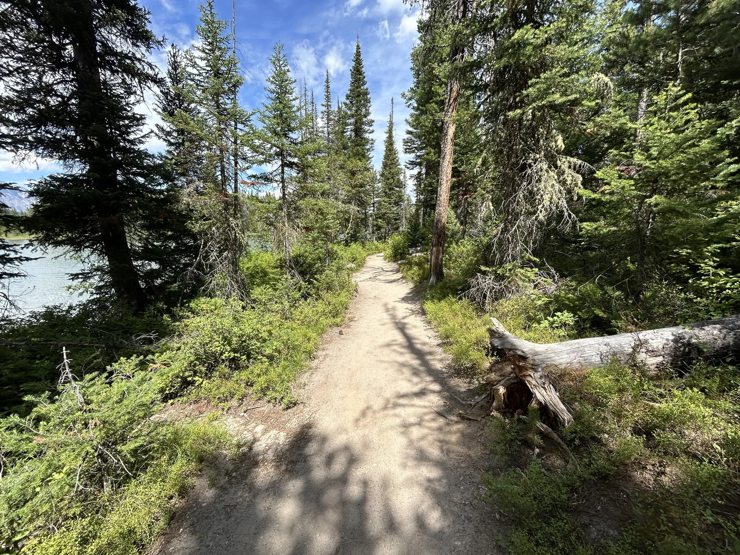 Hiking the String Lake Loop Trail in Grand Teton National Park — noahawaii