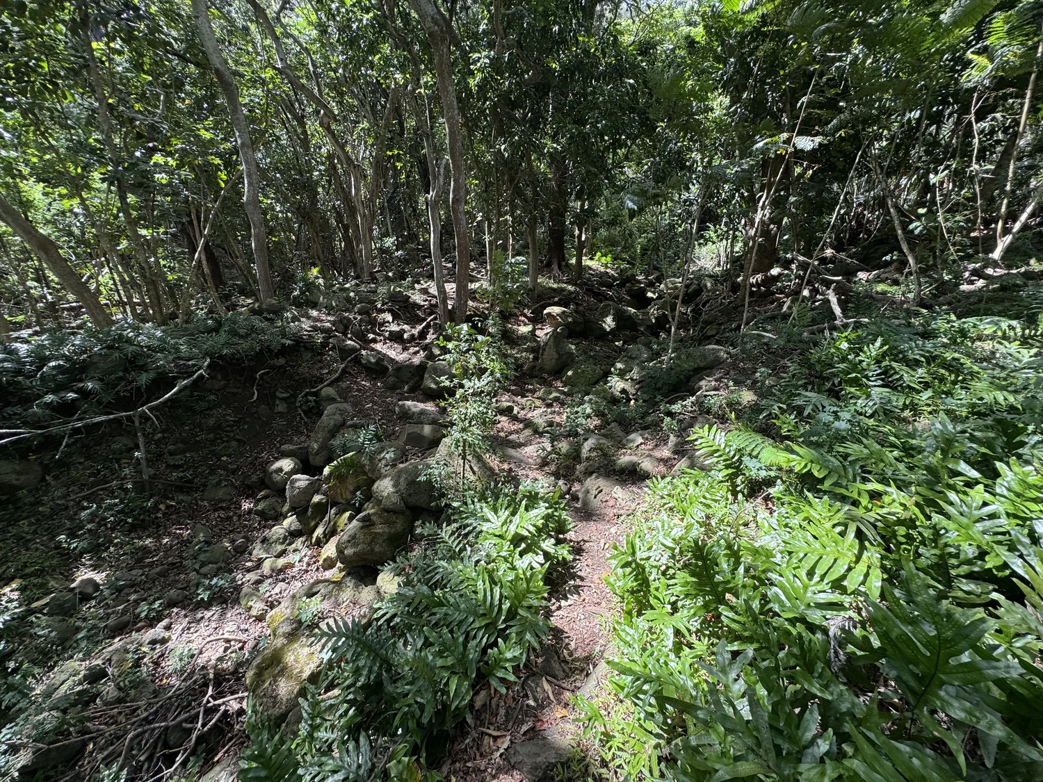 Hiking the Pyramid Rock Loop Trail on Oʻahu, Hawaiʻi — noahawaii