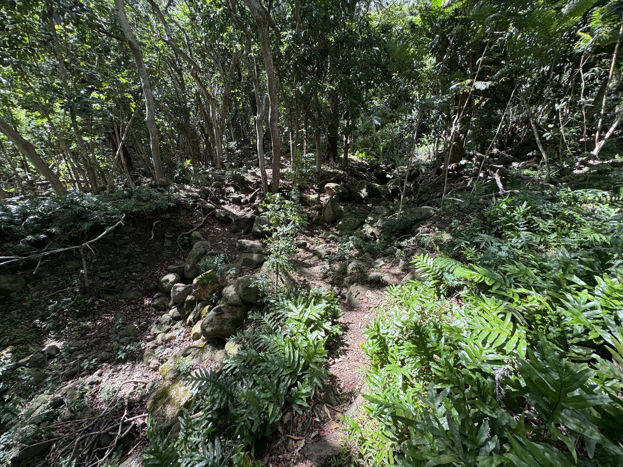 Hiking the Pyramid Rock Loop Trail on Oʻahu, Hawaiʻi — noahawaii