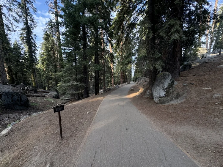 Hiking the General Sherman Tree Trail in Sequoia National Park — noahawaii