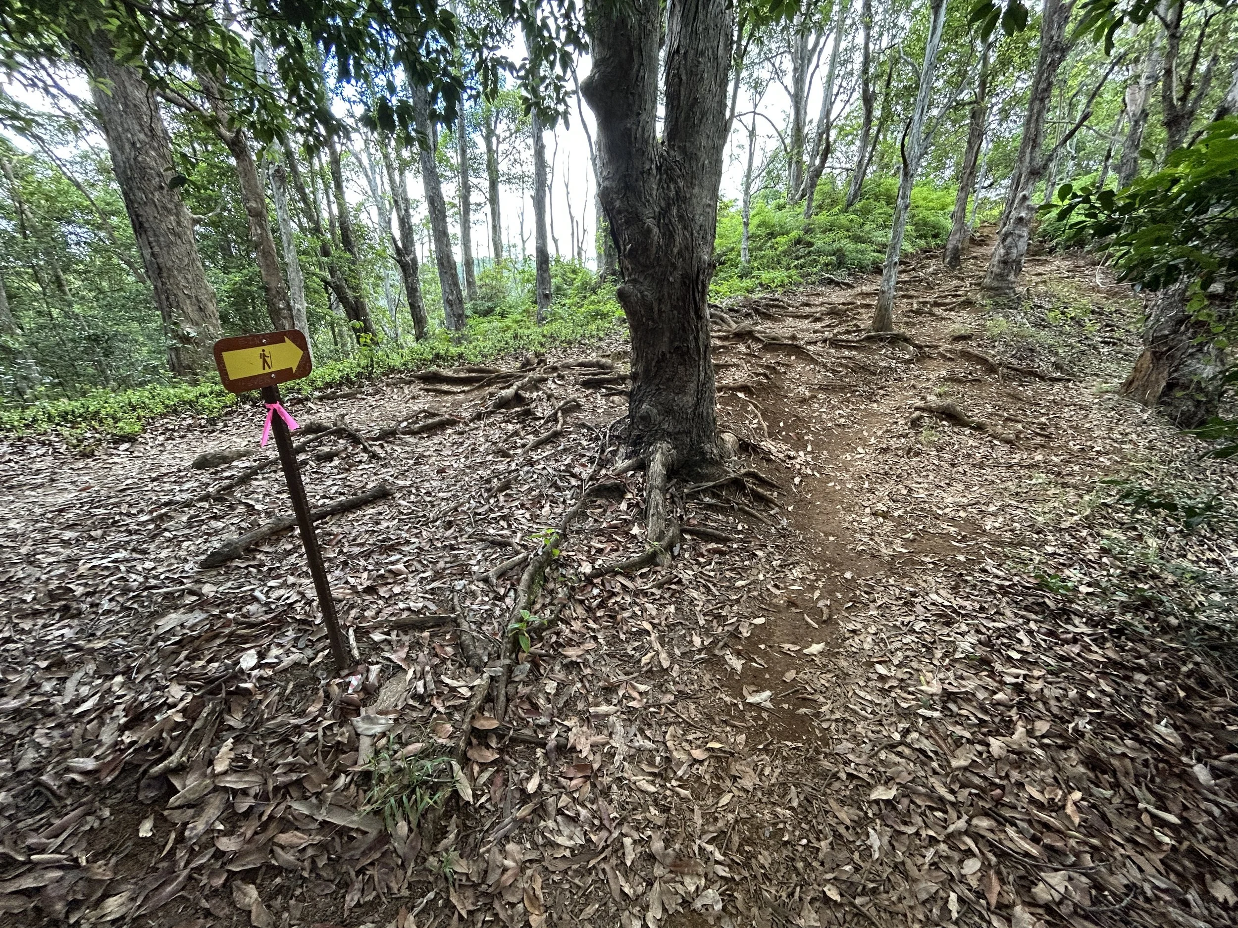 Manana Trail Map