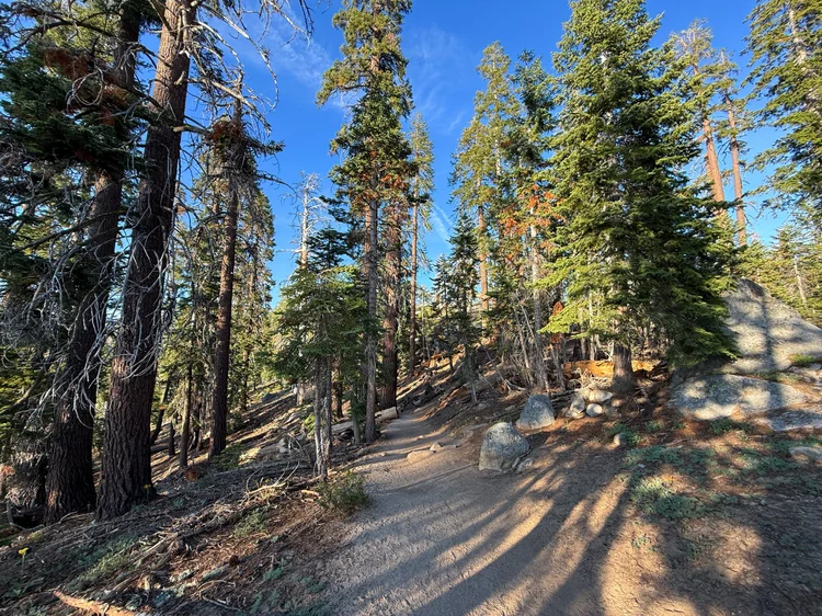 Hiking the Sentinel Dome Trail in Yosemite National Park — noahawaii