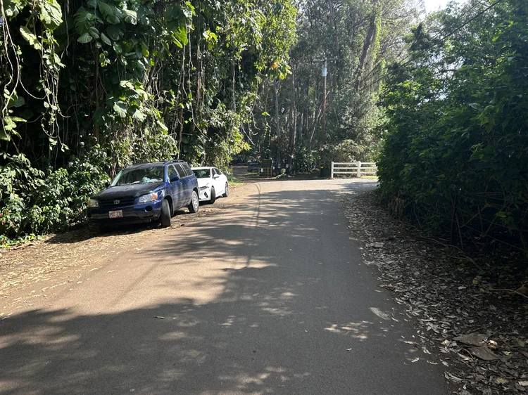 Hiking the Koʻolau Summit Trail (KST) North to South on Oʻahu, Hawaiʻi ...