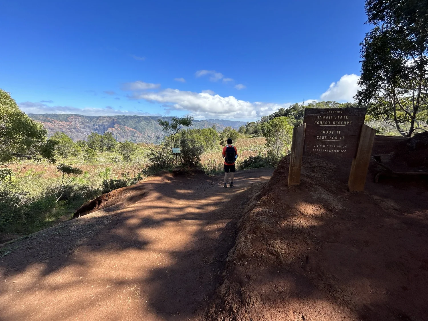 Hiking the Iliau Nature Loop Trail in the Waimea Canyon on Kauaʻi ...