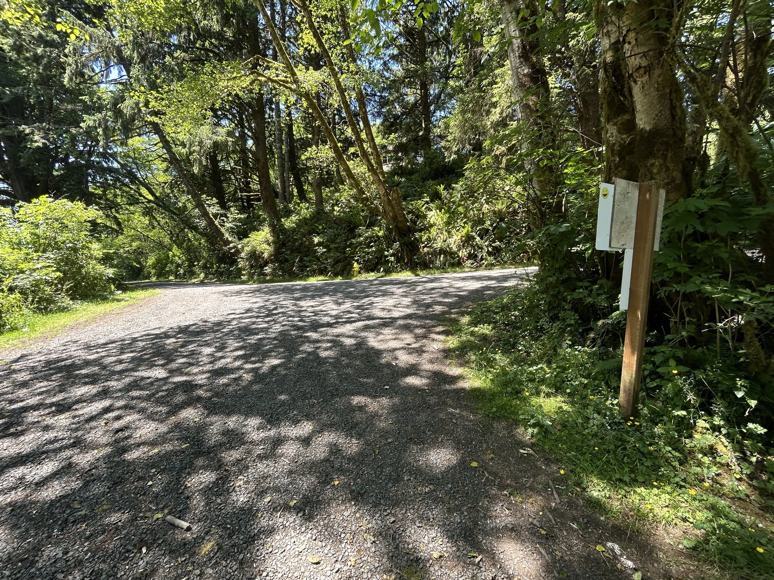 Hiking the God’s Thumb Trail via The Knoll on the Oregon Coast — noahawaii