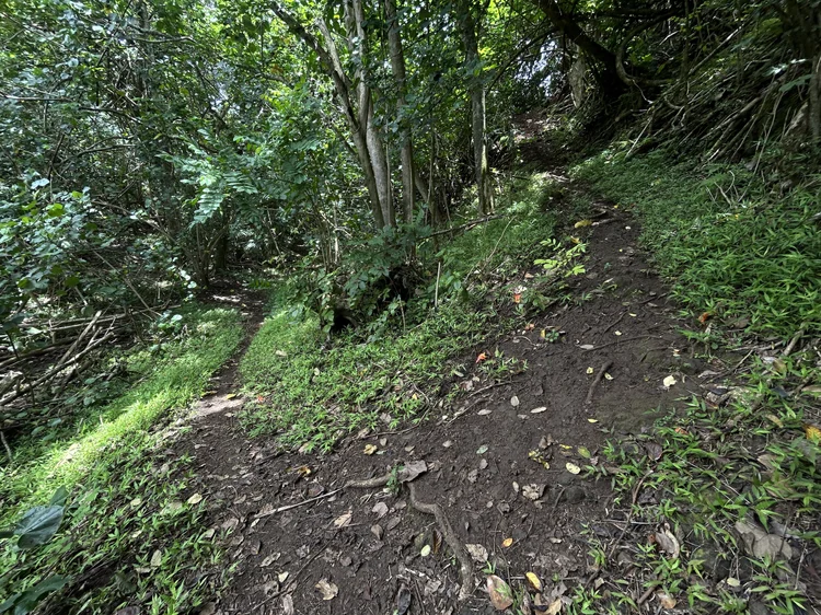 Hiking the Castle Trail on Oʻahu, Hawaiʻi — noahawaii