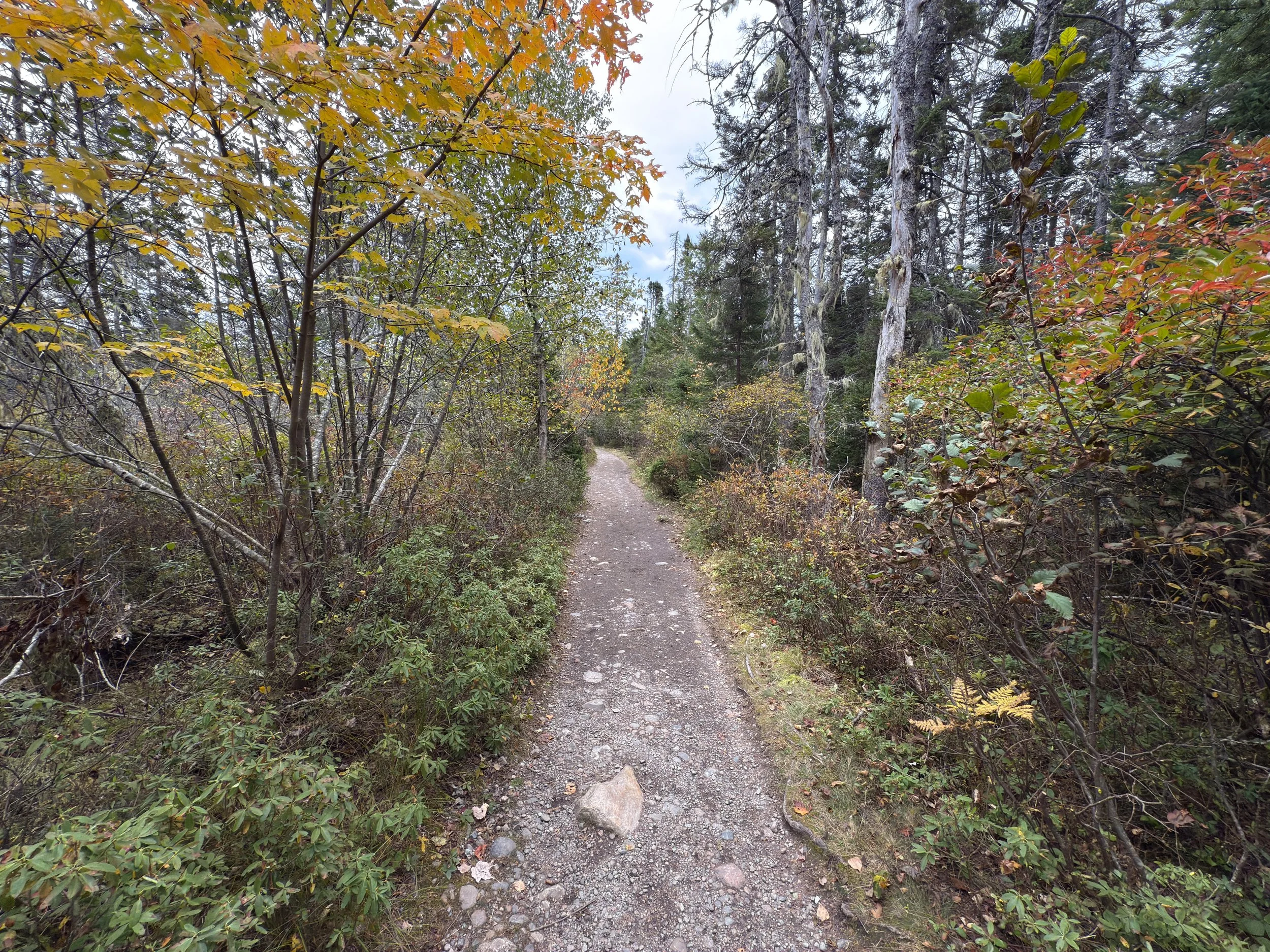 Hiking the Wonderland Trail in Acadia National Park — noahawaii