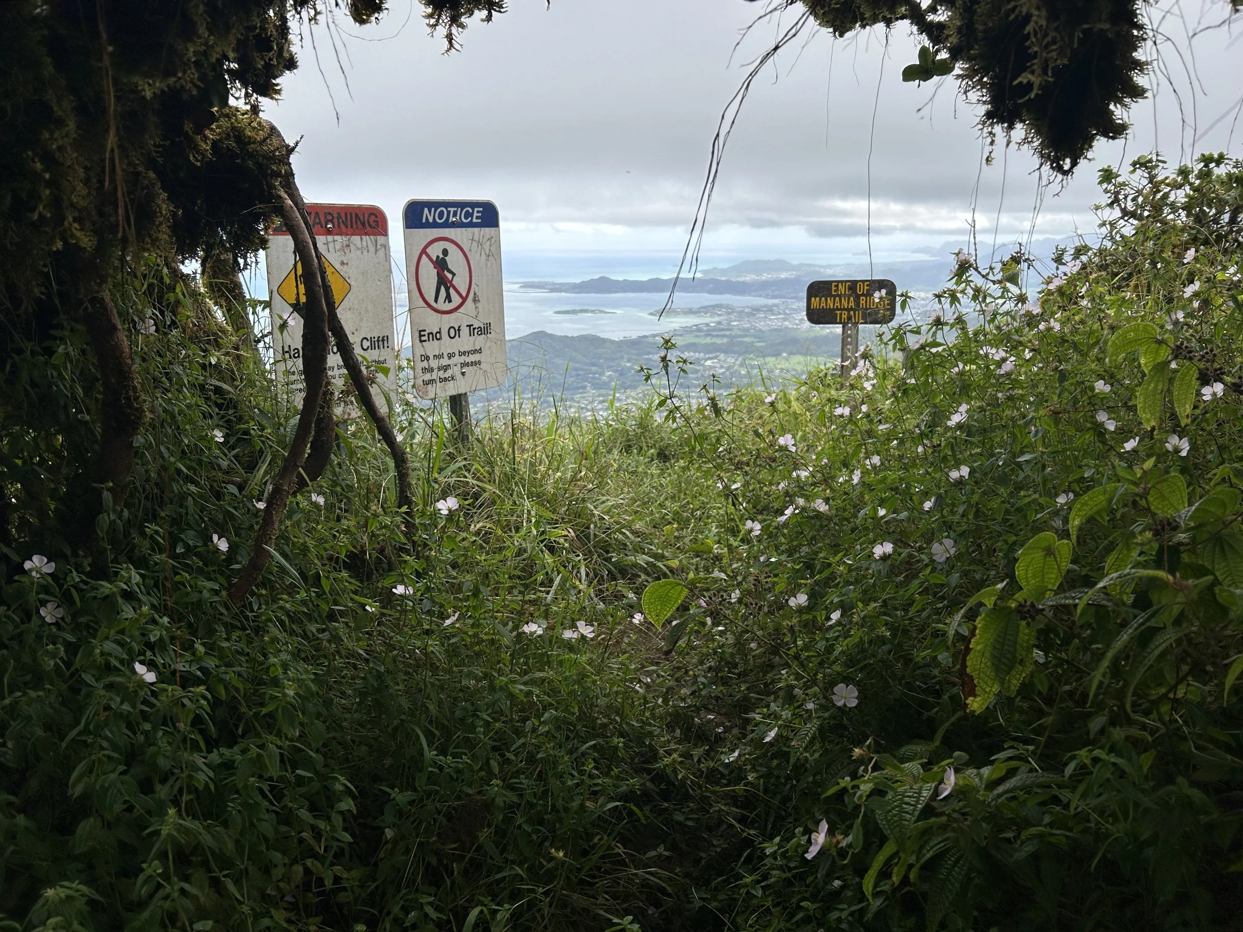 Hiking the Mānana Ridge Trail on Oʻahu — noahawaii
