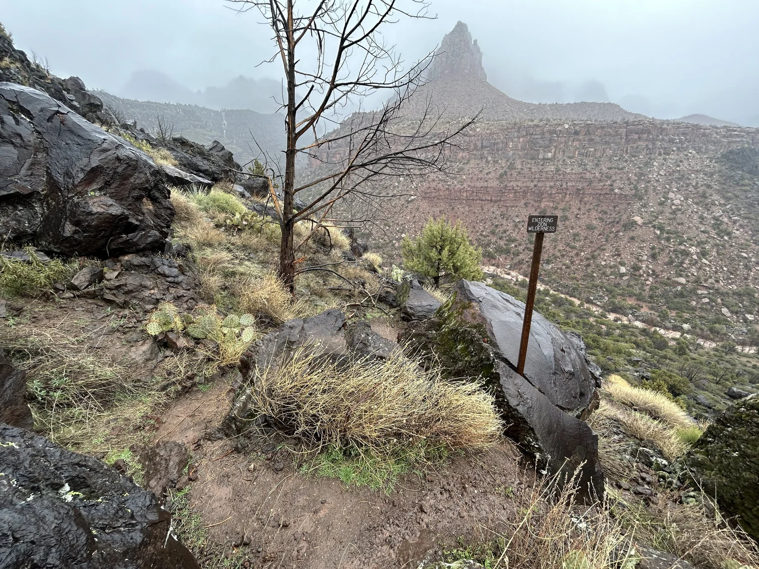 Hiking the Grapevine Trail to Left Fork Falls in Zion National Park ...