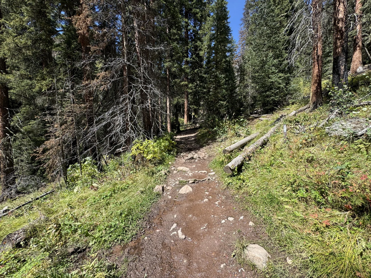 Hiking the Ice & Island Lake Trail in Silverton, Colorado — noahawaii